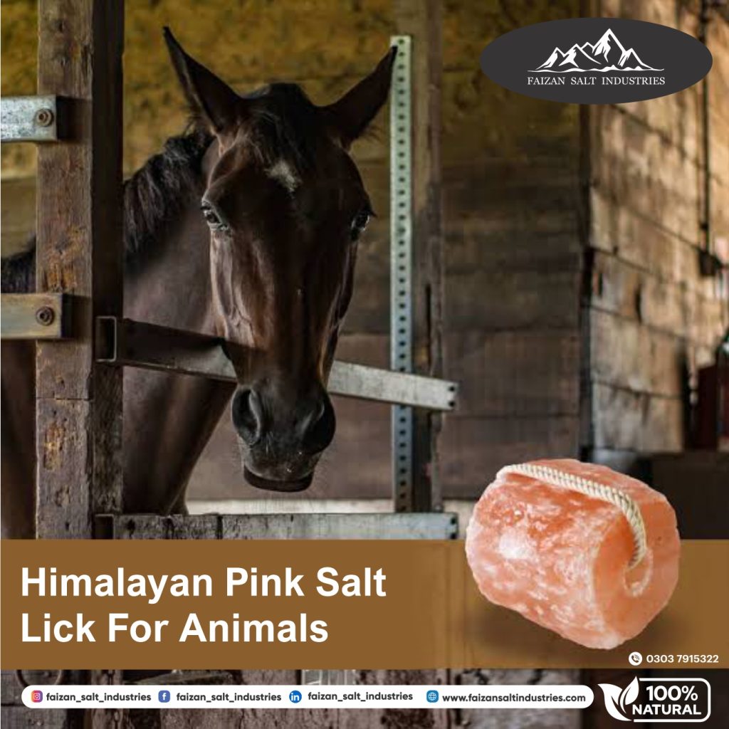 The Benefits of Himalayan Pink Salt Lick for Animals – Faizan Salt ...